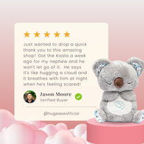 Archie the Koala – Hug Ease